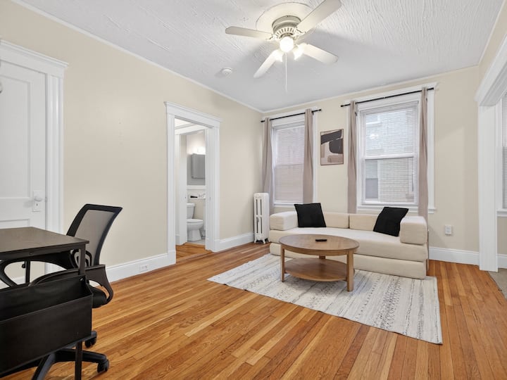 Charming 1br Apt In Boston W/ Roku Tv! - Brighton - Boston