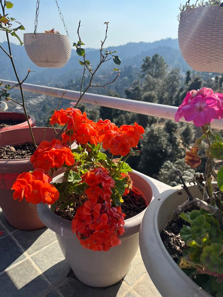 Mountain View 6bhk Entier Property - Mukteshwar