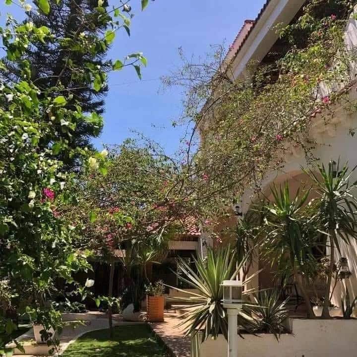 Le Mistral 2 - Algiers