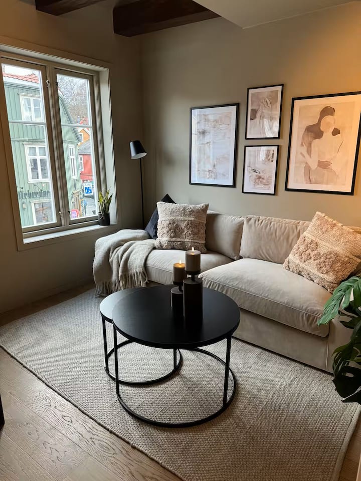 Sentral Leilighet På Idylliske Bakklandet - Trondheim