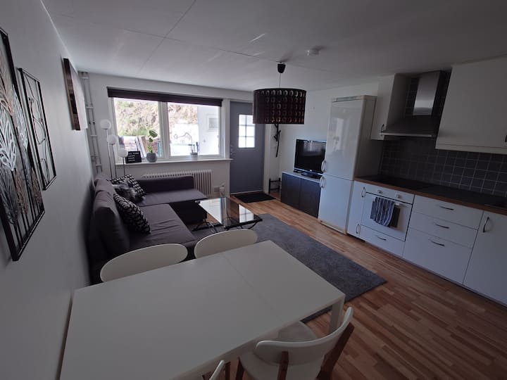Private Apartment Near Jönköping - Jönköping