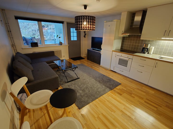 Private Apartment Near Jönköping - Jönköping