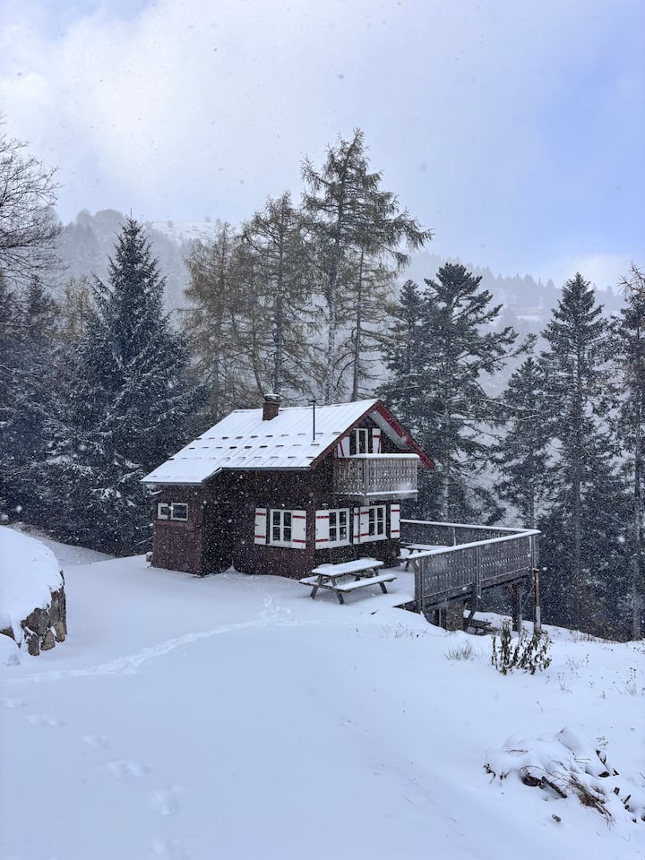 Petit Chalet De Montagne - «&nbsp;Le Petit Schallern&nbsp;» - Metzeral