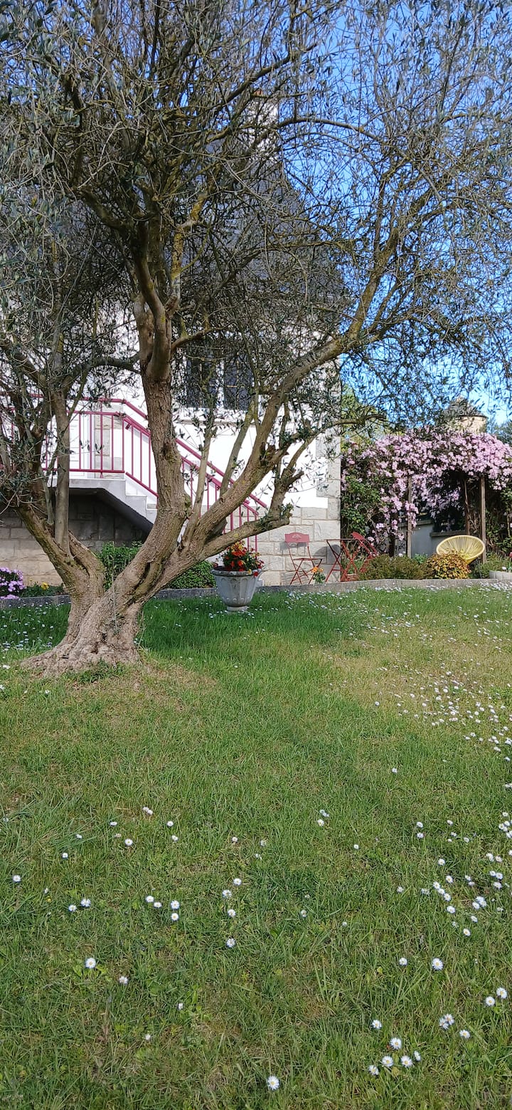 Chambre D'hôte - Plancoët