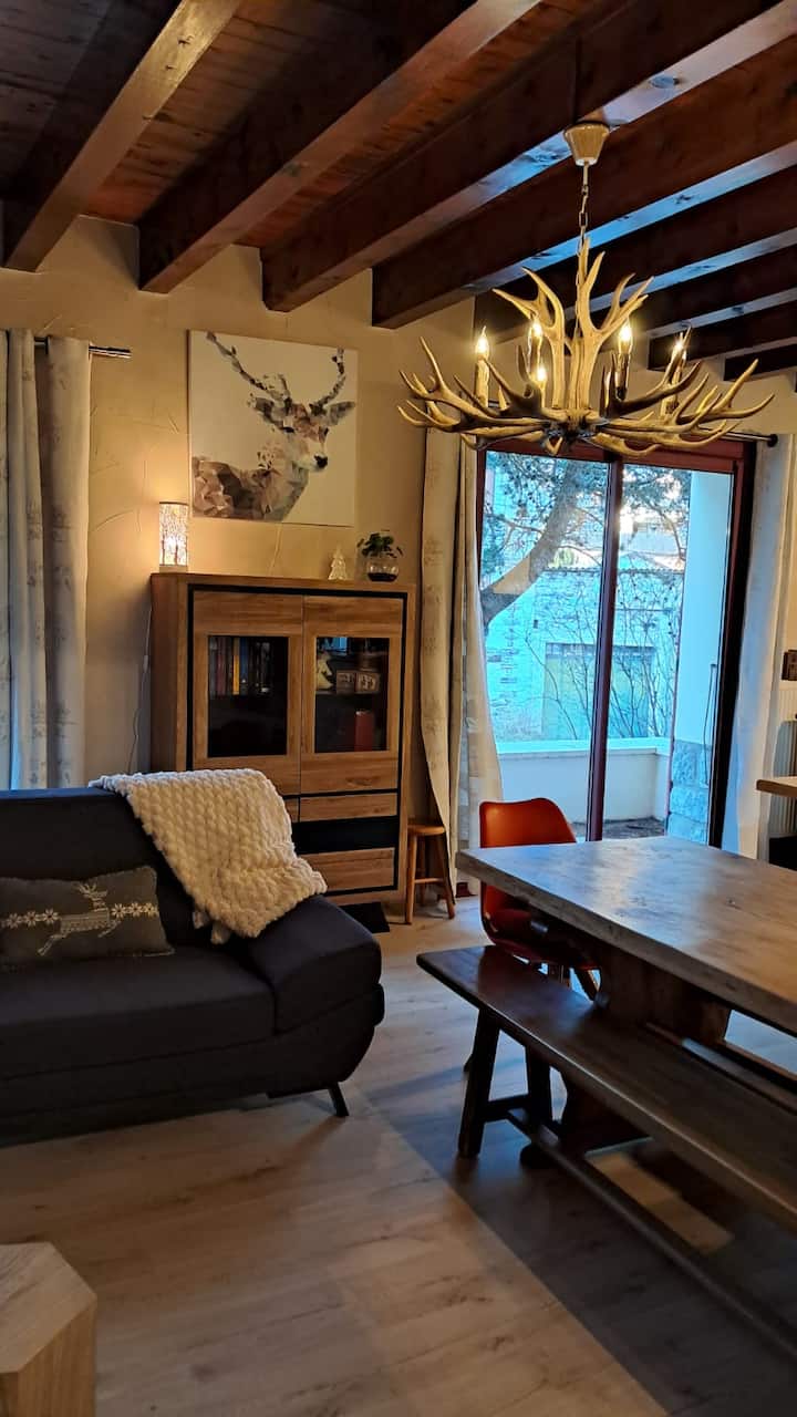 Chalet De Charme, Grand Jardin à 2min Du Centre. - Formiguères