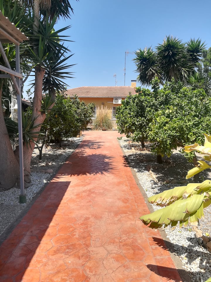 Chambre 1 - San Pedro del Pinatar