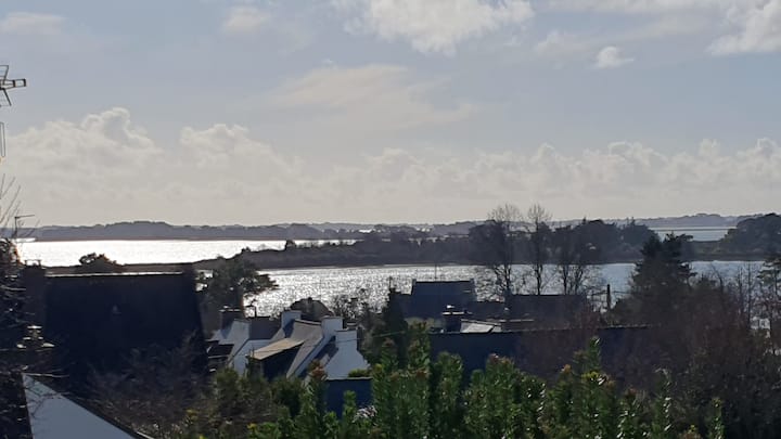 Location De Vacances  à Séné Golfe Du Morbihan - Séné