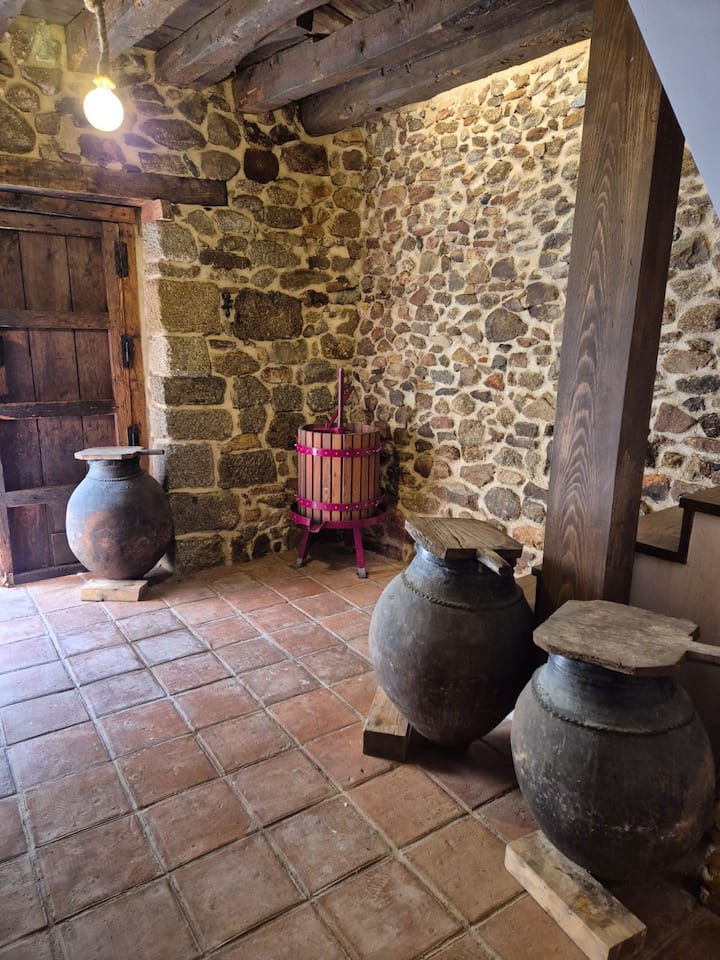 Casa La Tranca - Arenas de San Pedro