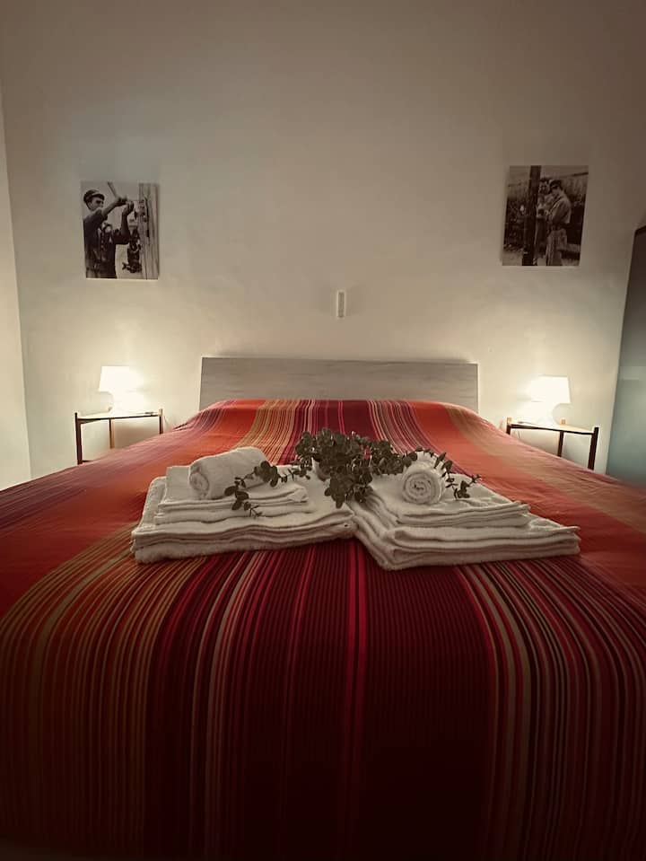 Il Nido Di Re: Bilocale Strategico E Accogliente - Turin