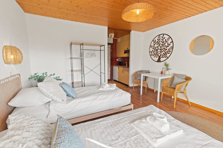 Joli Studio Calme Et Lumineux à 5min à Pied Du Lac - Neuchâtel