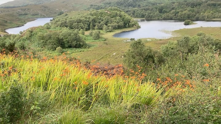 Pontoon, Co Mayo - Castlebar