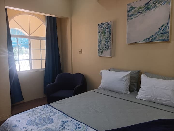 Cozy Kingston Flat - Kingston