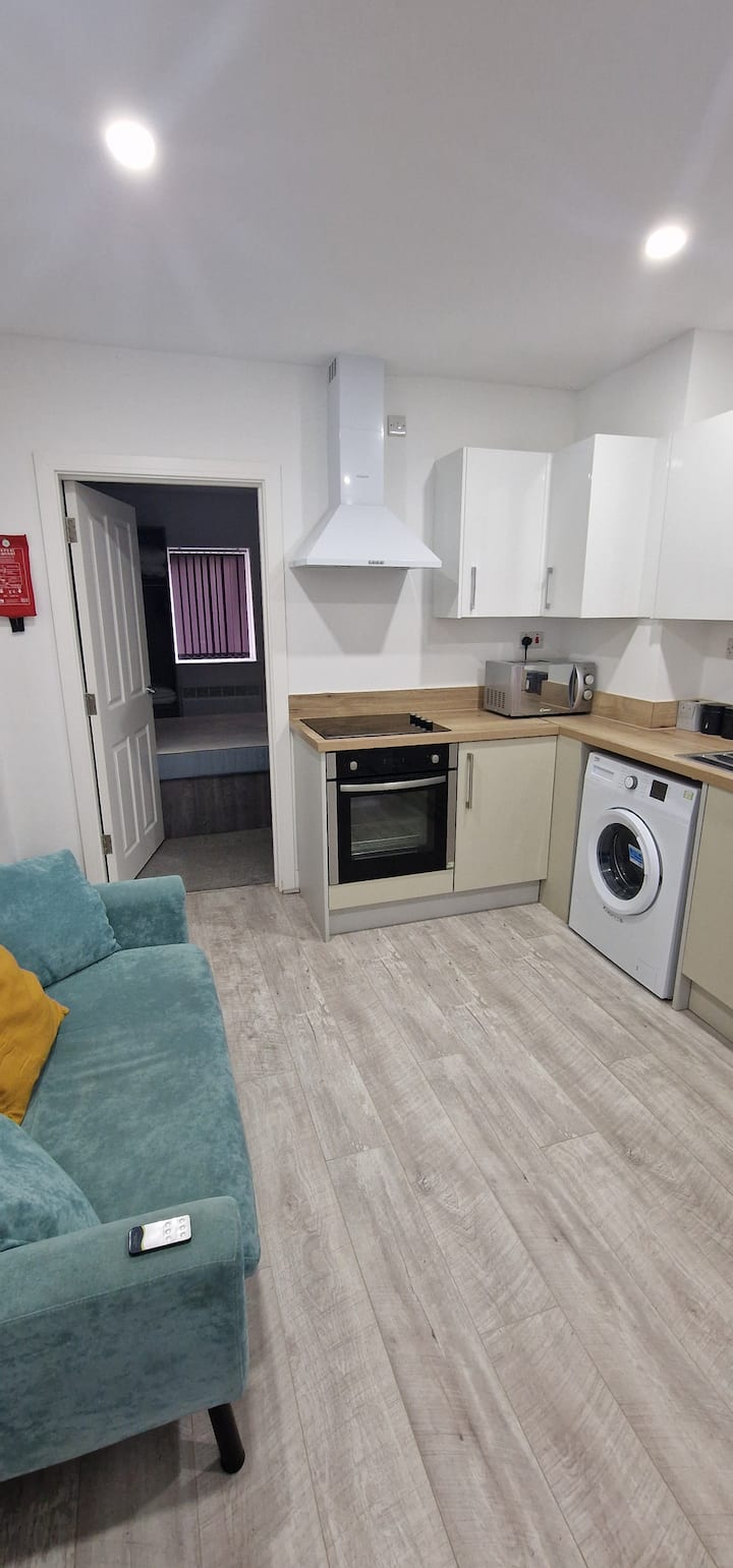 Cozy 1-bedroom  Fully Furnished Apartment - Leicester