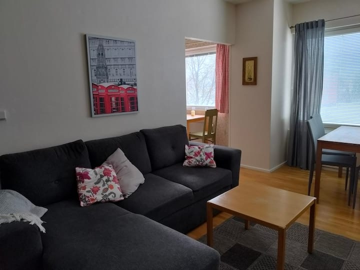 3 Rum Och Kök I Centrum - Hanko