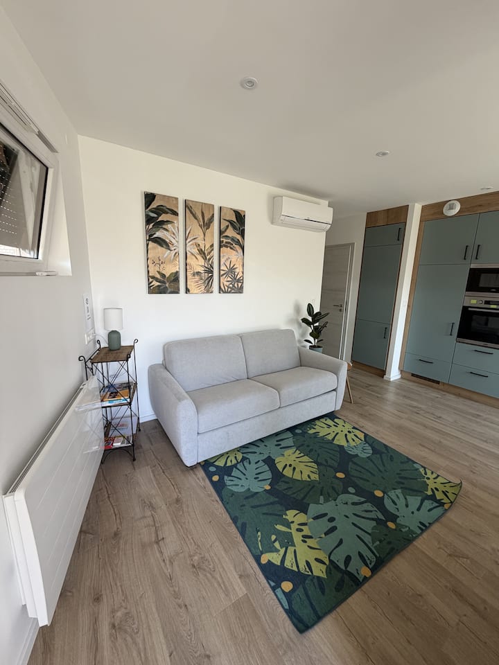 Logement Entier De 45m2 Calme Et Près De La Nature - Strasbourg