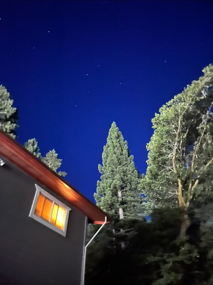 Snug Double Creek Redwood Retreat + Theater Room - Garberville, CA