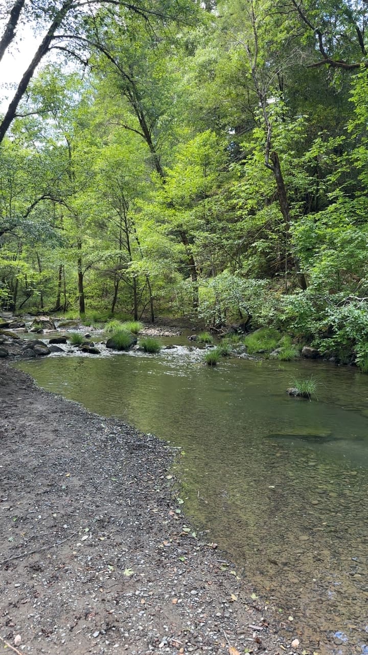 Large Double Creek Redwood Home + Theater Room - Garberville, CA