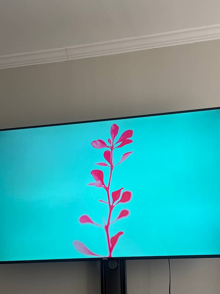 Quiet 2br Apartment, Near Shops & Dining - High Point, NC