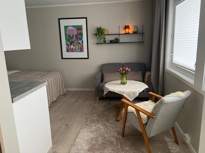 Koselig Studioleilighet Med Parkering - Tromsø