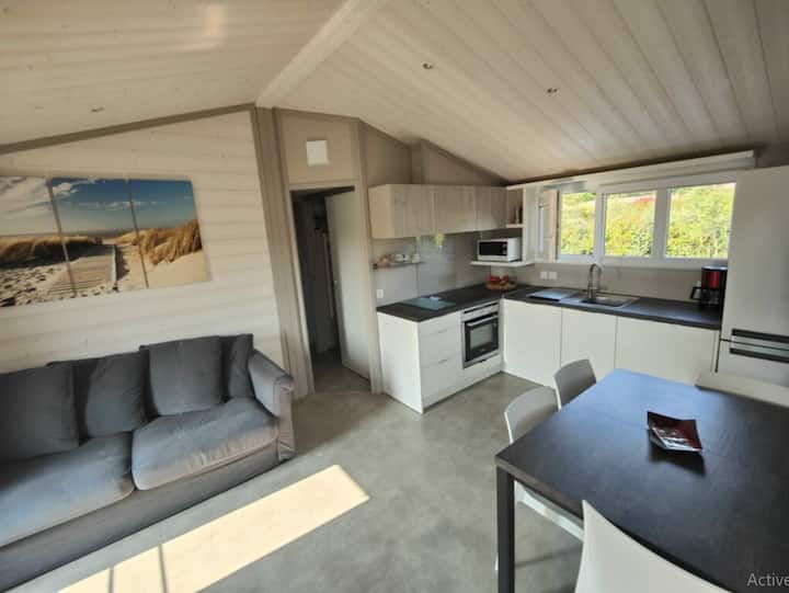 Chalet Avec Piscine Proche Du Lac Et De L'océan - Hourtin