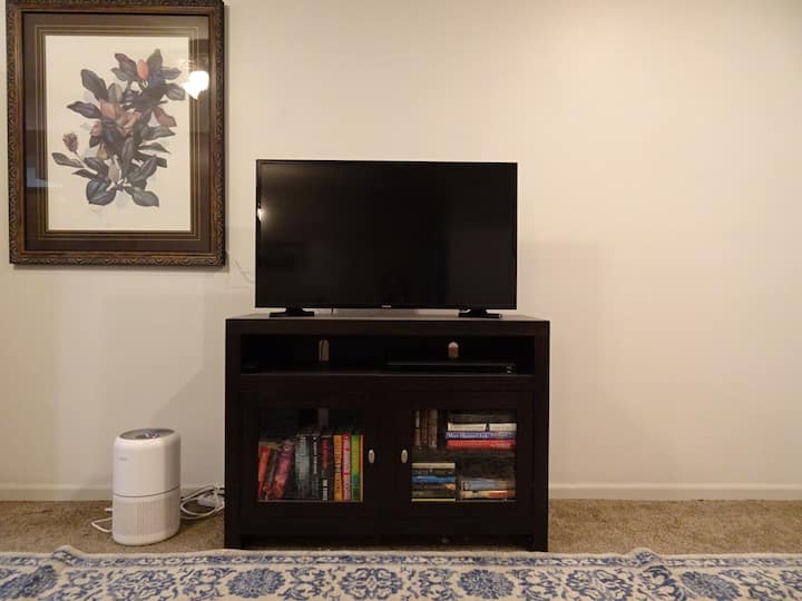 Fifa World Cup - Spacious Patio Apartment - 奧拉西