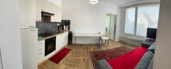 Appartement T3 à Cronenbourg - ストラスブール