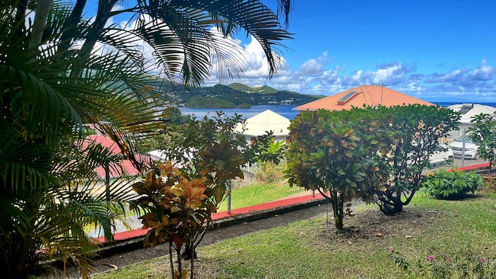 Studio Kerzot - Colibri - Martinique