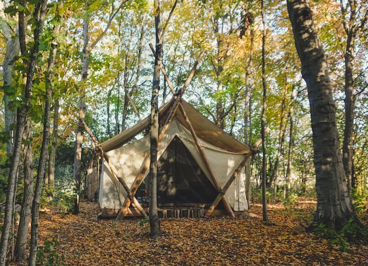 #3 Craftsman - Prince Edward