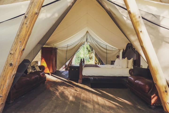 #4 Royal Coachman - Prince Edward