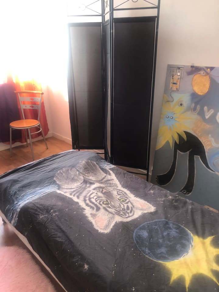 Chambre Simple Dans Grand Logement
Centre Ville - Cherbourg-Octeville