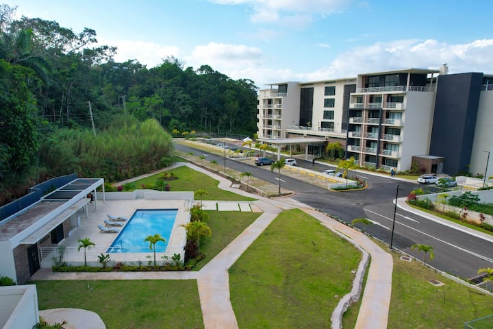 City Vue Luxe Condo - Jamaica