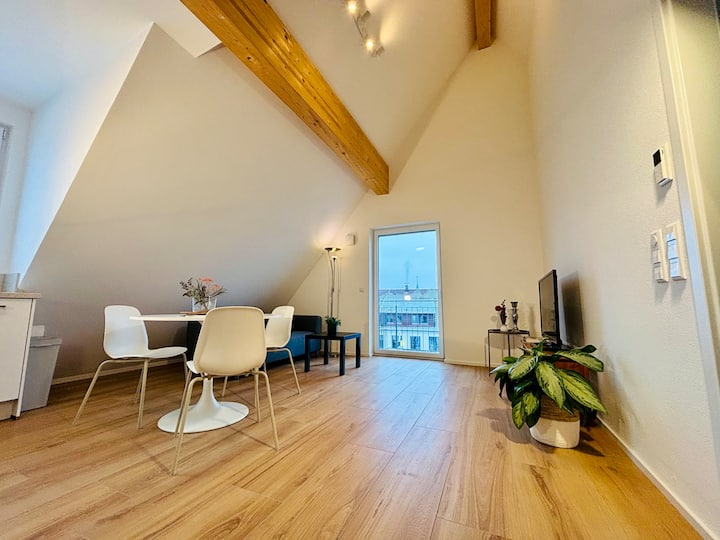 Marktplatz 14 Penthouse Apartments Bad Buchau - Bad Buchau