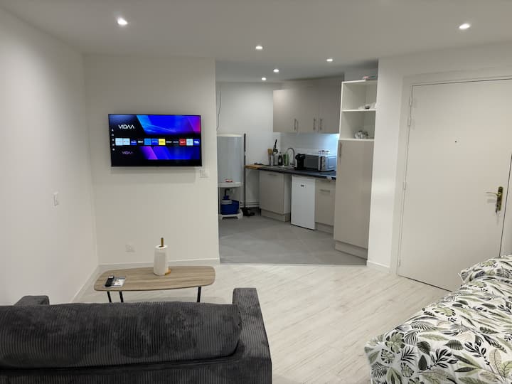 Lumineux Tout éQuipé Tv - Wifi - Centre Ville - Annemasse