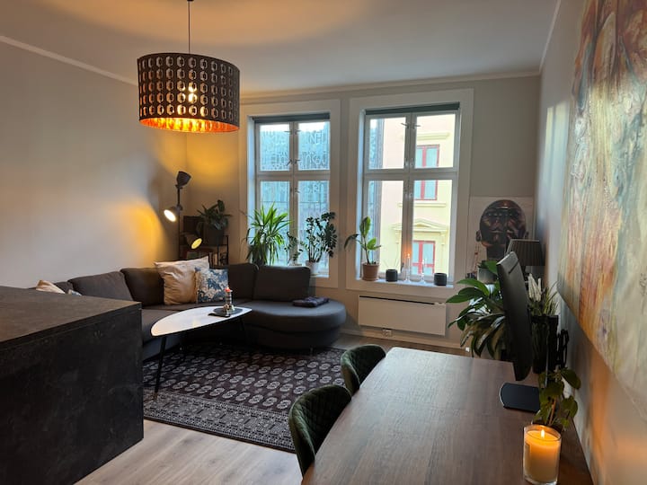 Oslo City Center Apt – Walk Everywhere - 奧斯陸