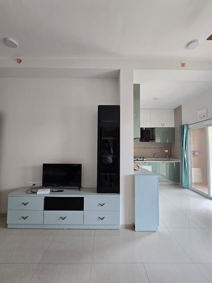 Wardha_lily - Gandhinagar