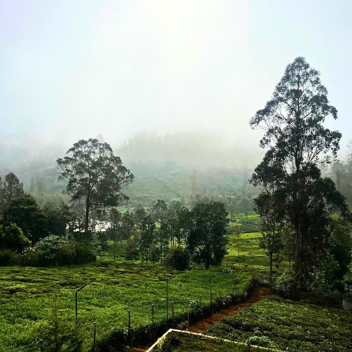 “Private Villa In Kotagiri” - Kotagiri