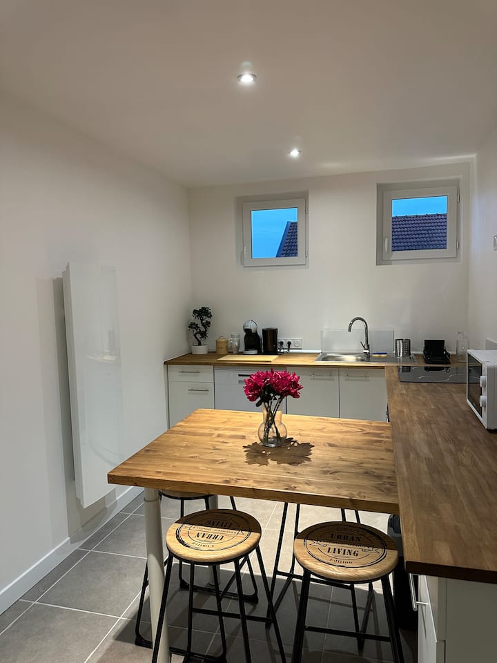 Le Cocon Savoyard/ Appartement Avec 3 Suites - Chambéry