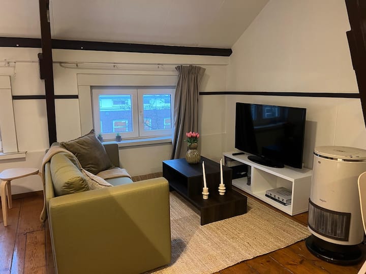 Historic Apartment Rotterdam - Rotterdam