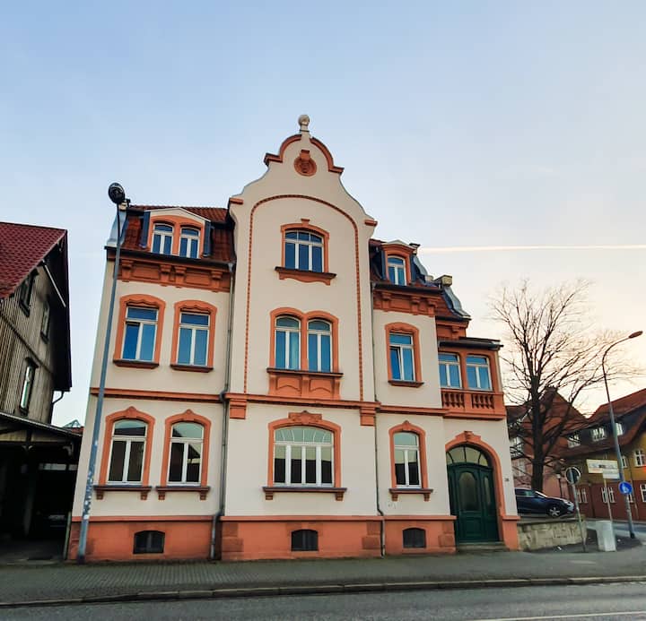 Premium-apartments In Gründerzeitvilla  16 Gäste - Harz