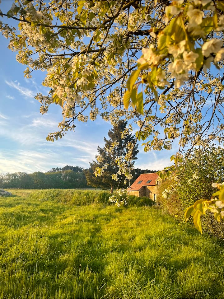 L'écrin De Saint Léo - Saint-Léonard-des-Bois