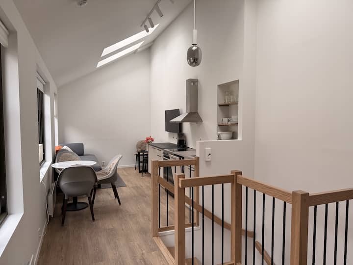 Stor Leilighet I Trondheim Sentrum - Trondheim