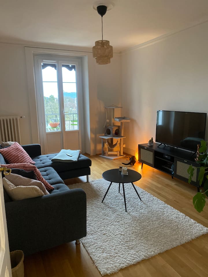 Appartement Genève - Genève