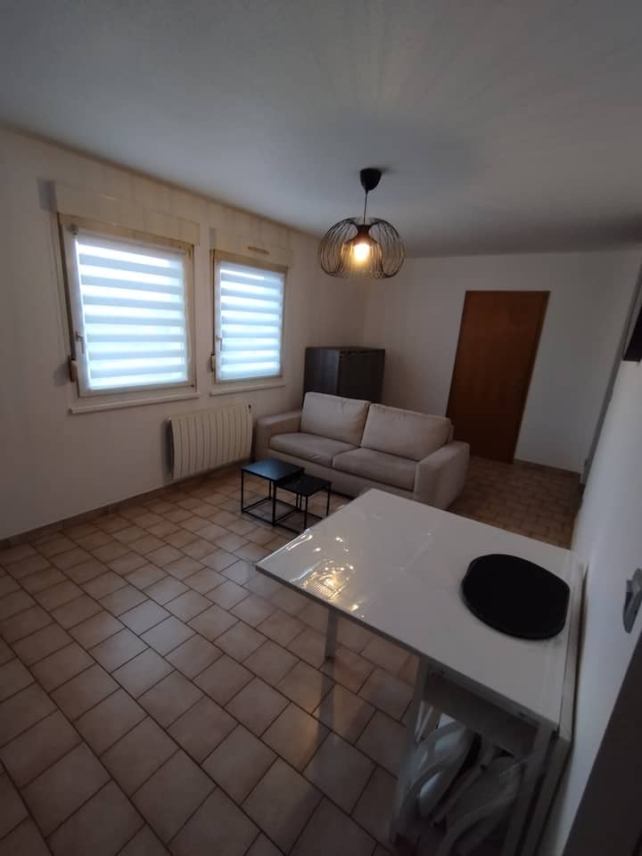 Appartement Avec 1 Petite Chambre - Blotzheim
