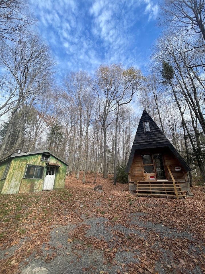 Pins Cabin On 27 Private Acres By The Lake-dogs Ok - Ontario 60