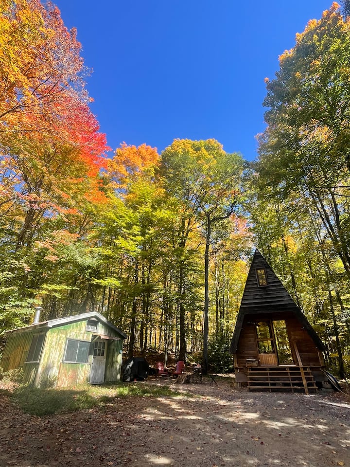 Lake Side A-frame Cabin On 27 Acres With Fireplace - Ontario 60