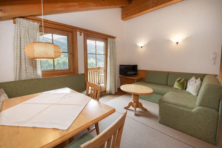 Großes Familienappartement Mit Schöner Aussicht - Alpbach