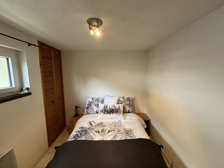 Ski Aux Pieds ! Vue Lac Et Montagne - 4 Personnes - Évian-les-Bains