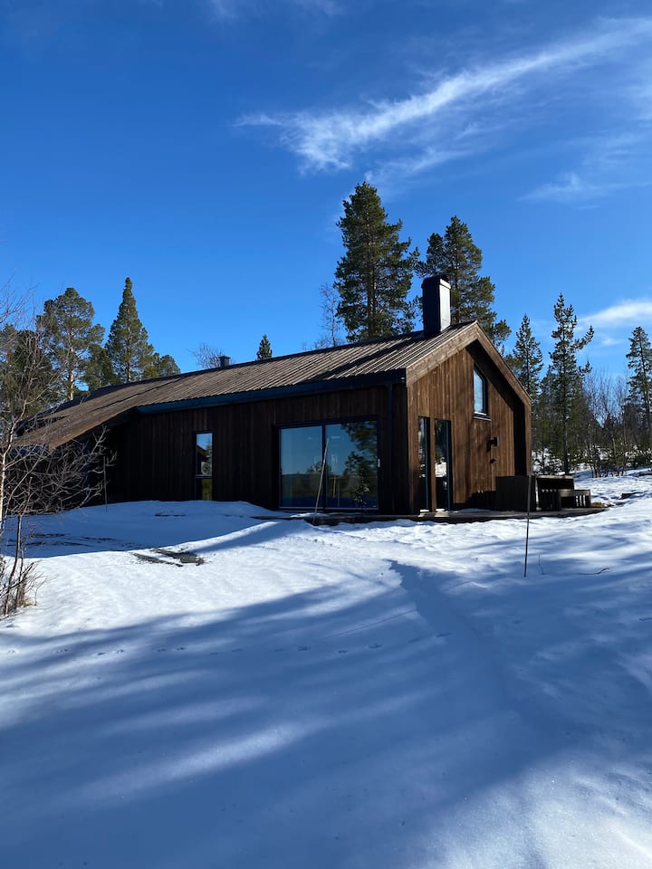 Trollhytta På Kloppmyra - Norway
