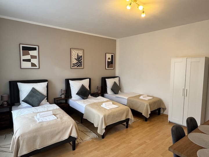 Arminos Large Grup Apartment- 3 Zimmer & 2 Wcs - Chemnitz