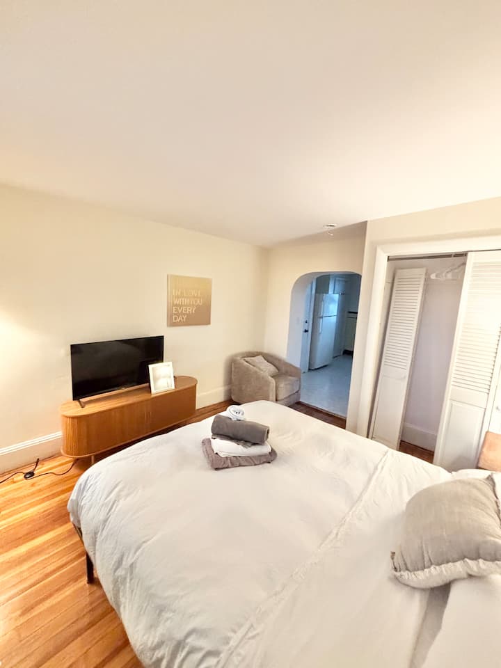 *Tdgarden Celtics/bruins/lil Italy/historic - Boston, MA